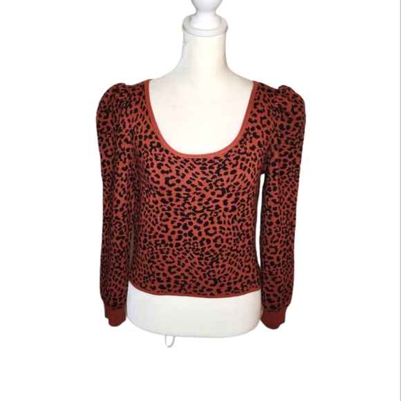 Express | Sweaters | New Express Cropped Puff Sleeve Animal Print ...